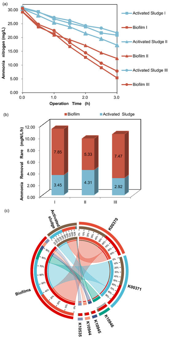 Microorganisms | Free Full-Text | Comparative Analysis of Bacterial ...