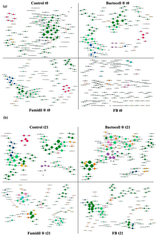 Managing Microbiota Activity of Apis mellifera with Probiotic ...