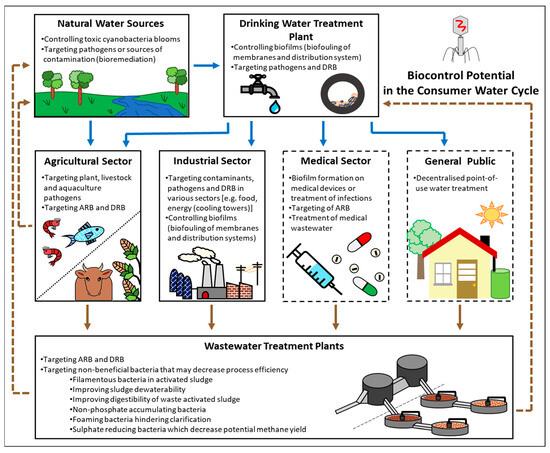 Microorganisms | Free Full-Text | Benefits and Challenges of Applying Bacteriophage Biocontrol ...