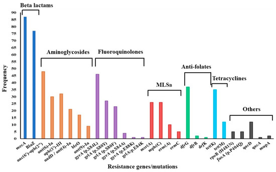 Displacement of Hospital-Acquired, Methicillin-Resistant Staphylococcus ...