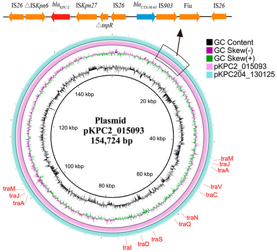 Identification of a Novel KPC Variant, KPC-204, Conferring Resistance ...