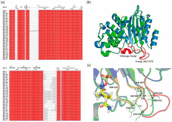 Identification of a Novel KPC Variant, KPC-204, Conferring Resistance ...