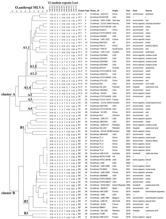 Evaluation of a Multilocus Variable-Number Tandem-Repeat Analysis Scheme for Typing Ochrobactrum ...