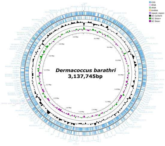 The Description and Analysis of the Complete Genome of Dermacoccus ...