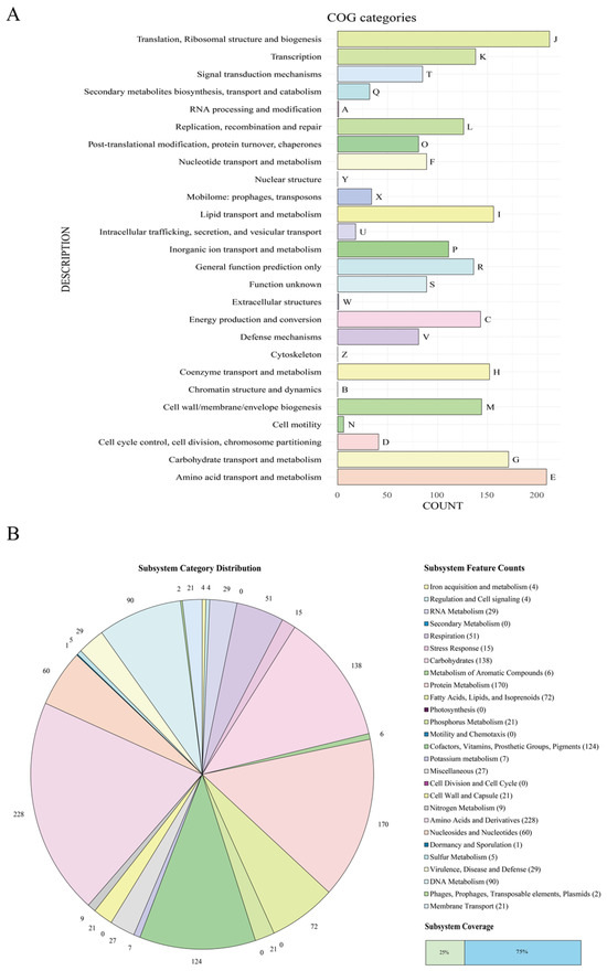 The Description and Analysis of the Complete Genome of Dermacoccus ...
