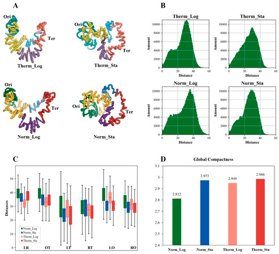 Spatial Chromosome Organization and Adaptation of Escherichia coli ...
