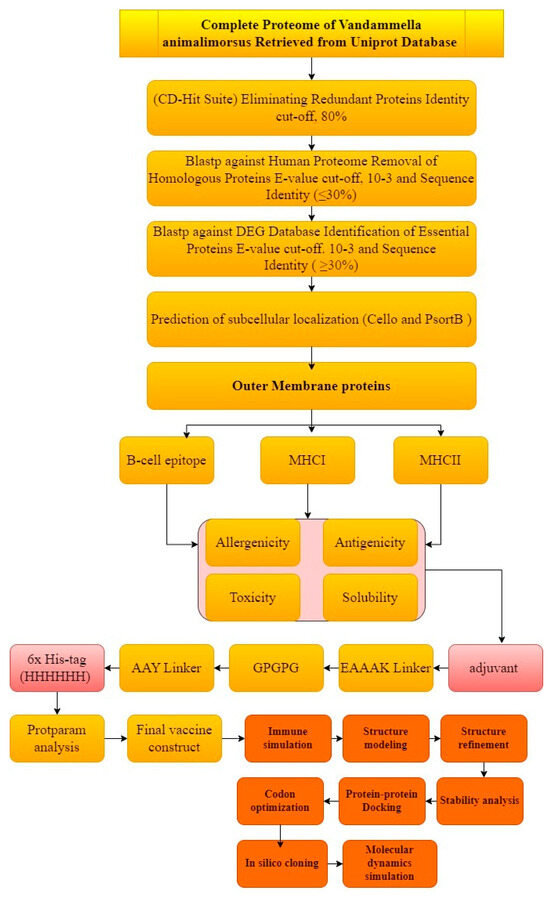 Immunoinformatics and Reverse Vaccinology Approach for the ...