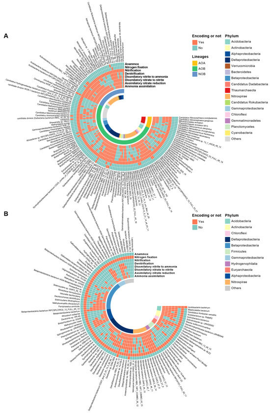 Quest for the Nitrogen-Metabolic Versatility of Microorganisms in Soil ...