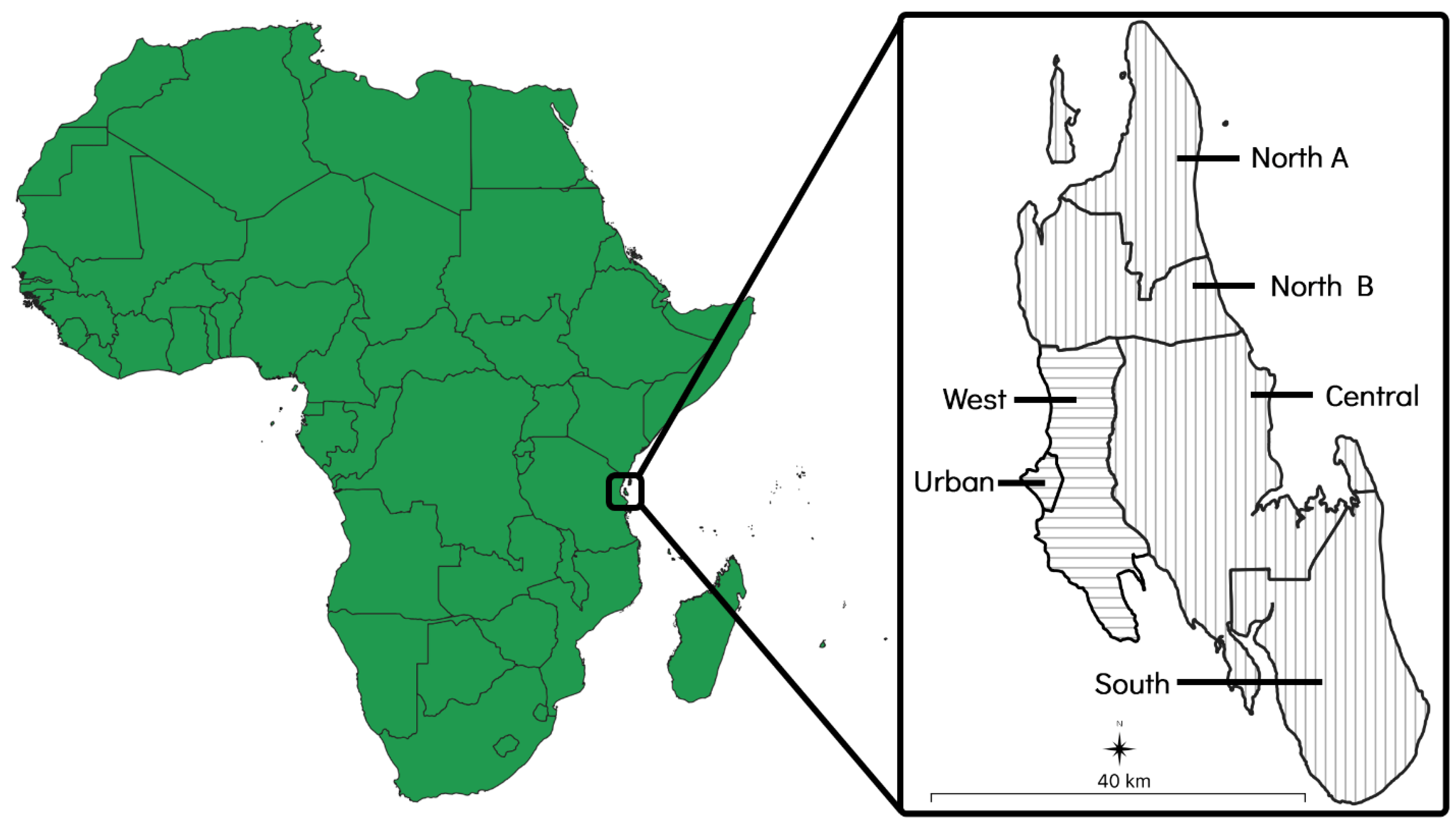 Investigating the Impact That Diagnostic Screening with Lateral Flow ...