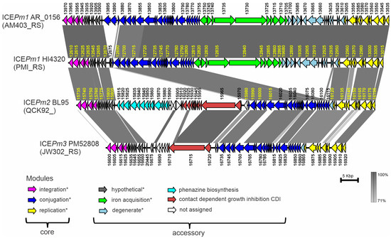 Pangenome Analysis Reveals Novel Contact-Dependent Growth Inhibition System and Phenazine ...
