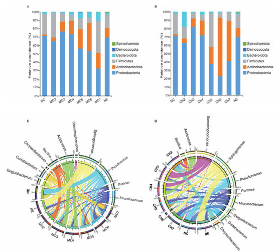 Multiple Chitin- or Avirulent Strain-Triggered Immunity Induces ...