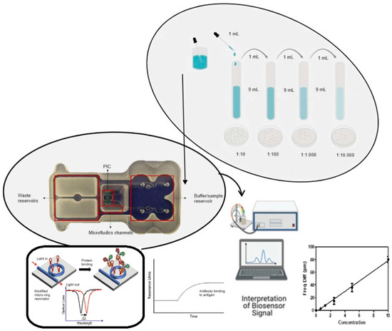 A Photonic Immunosensor Detection Method for Viable and Non-Viable E ...