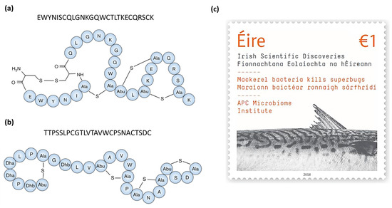 The Marine Fish Gut Microbiome as a Source of Novel Bacteriocins