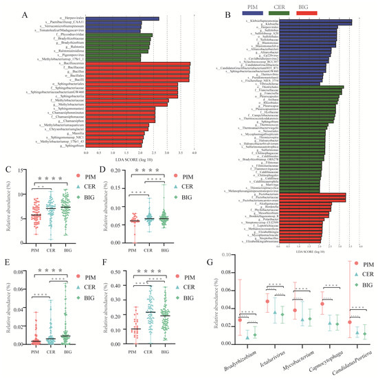 Domestication and Genetic Improvement Alter the Symbiotic Microbiome ...