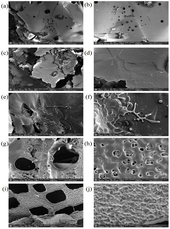 Structure and Bioactivity of Intracellular and Extracellular ...