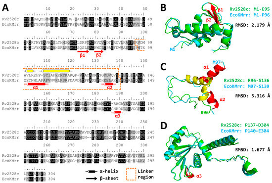 The Restriction Activity Investigation of Rv2528c, an Mrr-like ...