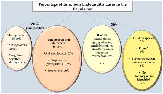 Native Infective Endocarditis: A State-of-the-Art-Review