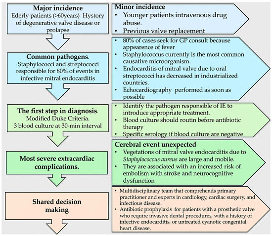 Native Infective Endocarditis: A State-of-the-Art-Review