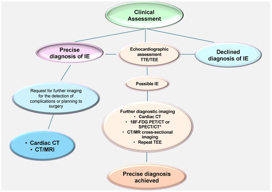 Native Infective Endocarditis: A State-of-the-Art-Review