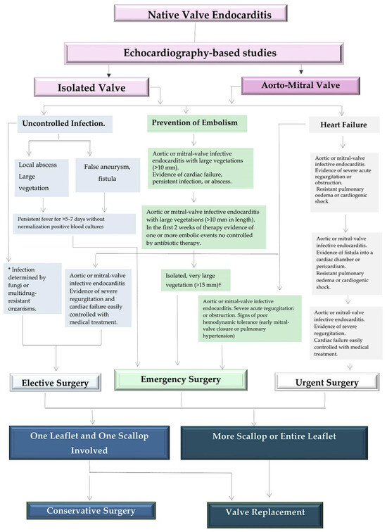 Native Infective Endocarditis: A State-of-the-Art-Review