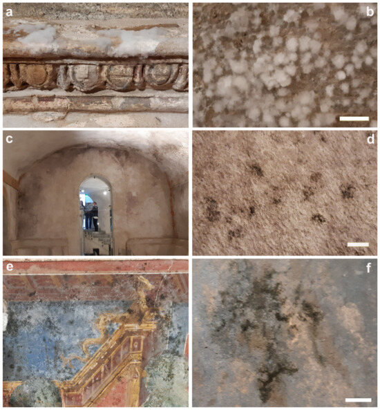 The Hypogeous Roman Archeological Museum of Positano: Study of the ...