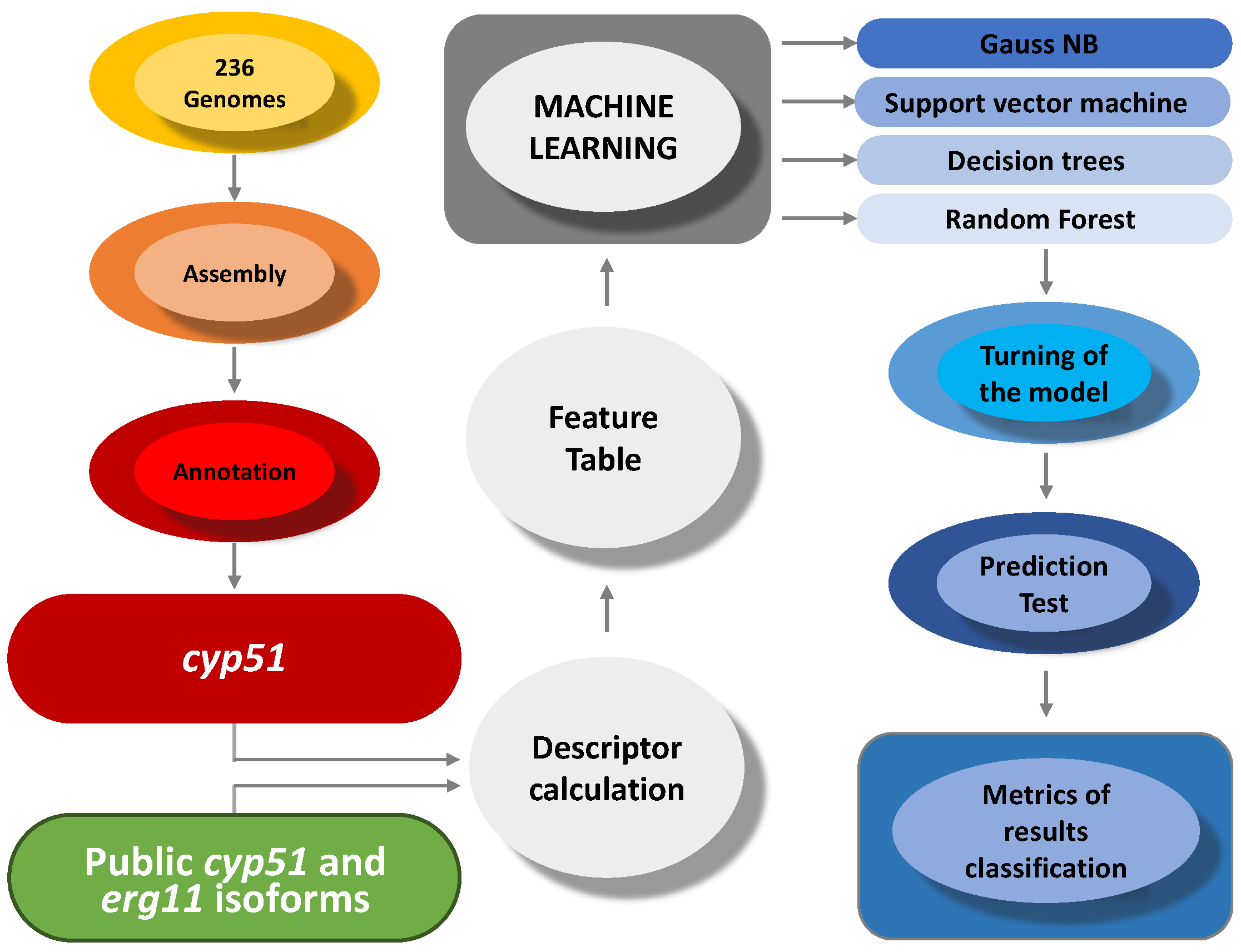 Harnessing Machine Learning to Uncover Hidden Patterns in Azole ...