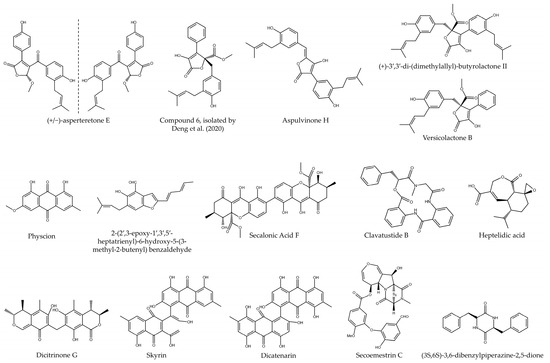 Fungi-Derived Bioactive Compounds as Potential Therapeutic Agents for ...