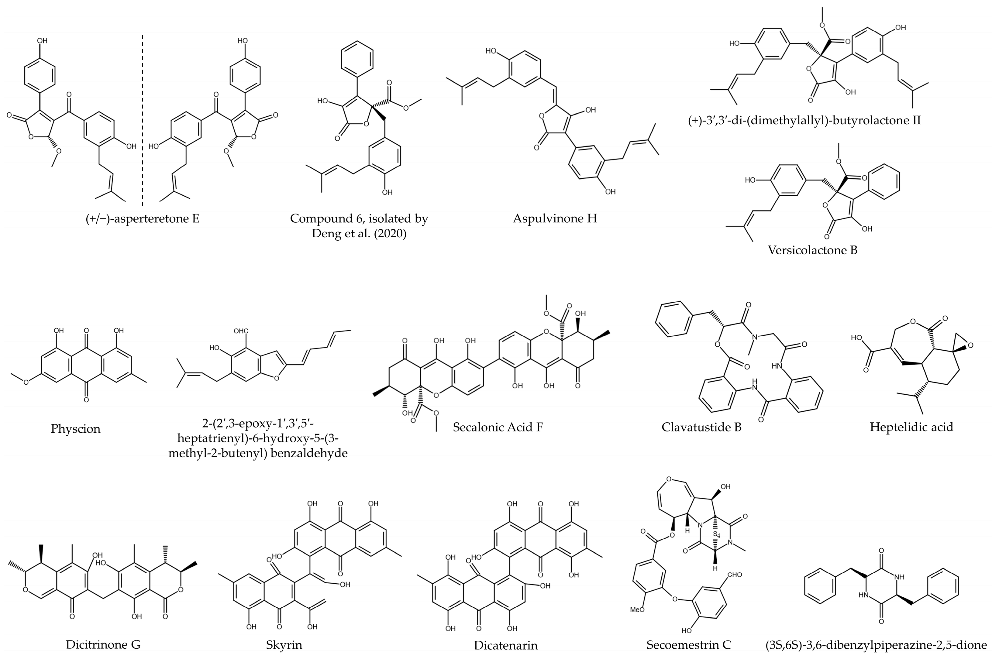 Fungi-Derived Bioactive Compounds as Potential Therapeutic Agents for ...