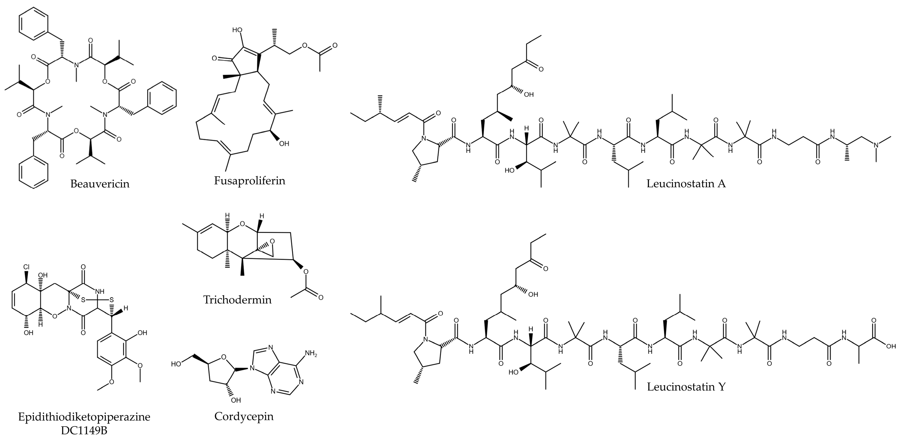 Fungi-Derived Bioactive Compounds as Potential Therapeutic Agents for ...