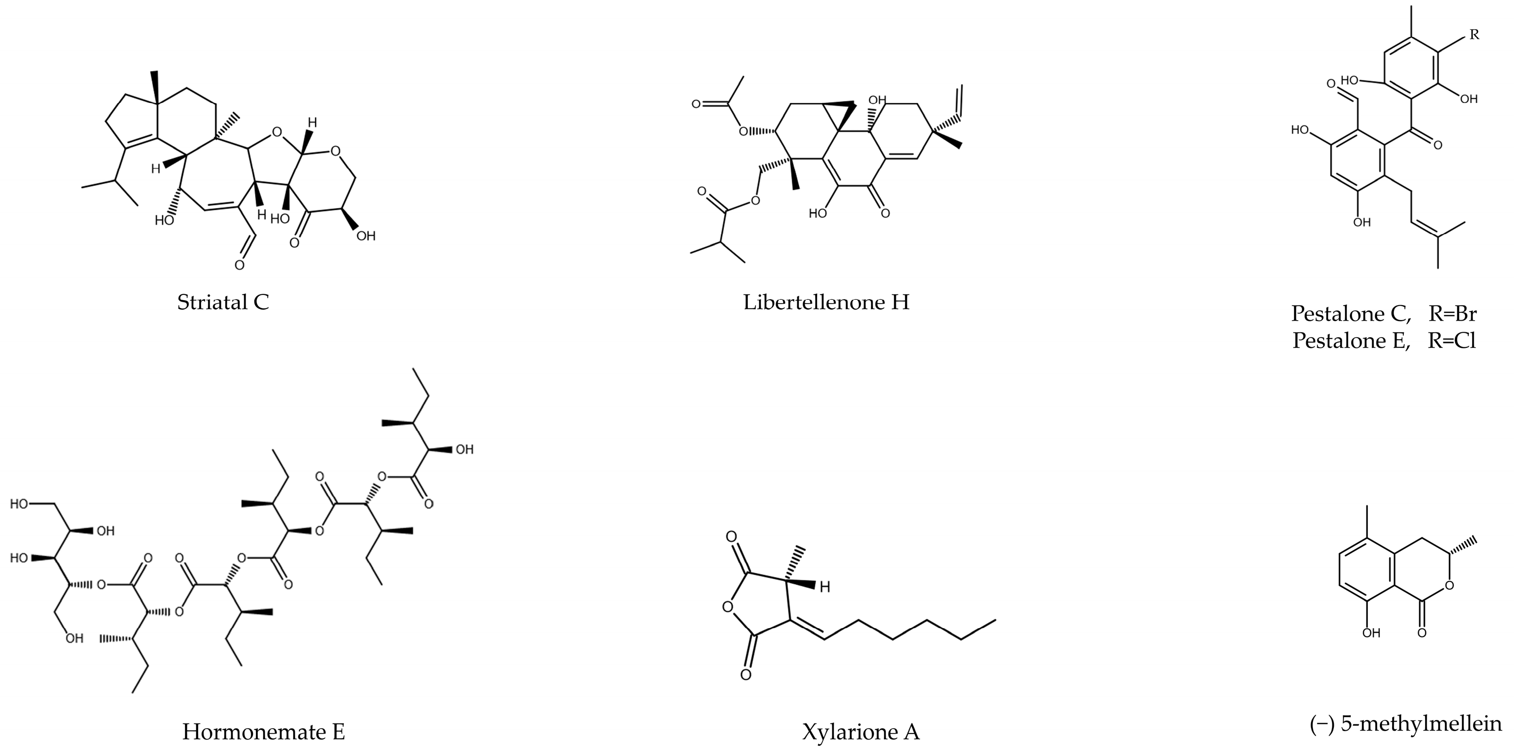 Fungi-Derived Bioactive Compounds as Potential Therapeutic Agents for ...