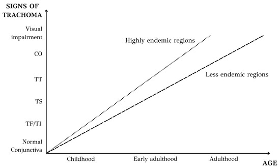 Insights into Pathogenesis of Trachoma