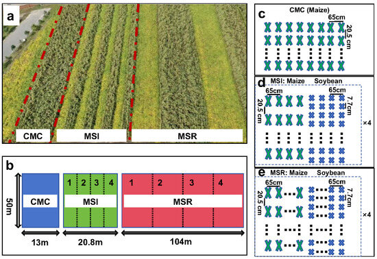 Maize–Soybean Rotation and Intercropping Increase Maize Yield by ...