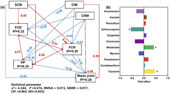 Maize–Soybean Rotation and Intercropping Increase Maize Yield by ...