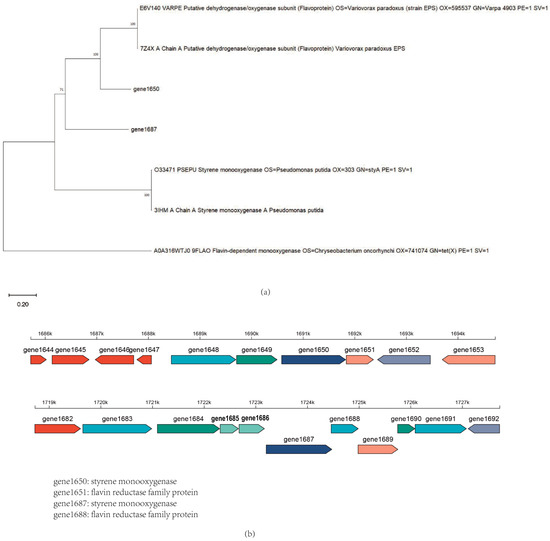 Molecular Analysis of Indole and Skatole Decomposition Metabolism in ...