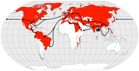 Towards a Comprehensive Definition of Pandemics and Strategies for ...
