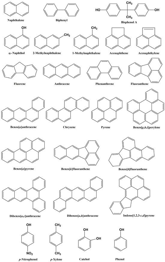 Microorganisms | Free Full-Text | Bioremediation of Polycyclic Aromatic Hydrocarbons by Means of ...