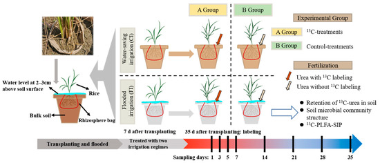 Water Management-Mediated Changes in the Rhizosphere and Bulk Soil ...