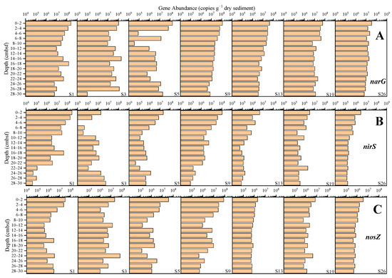 Distribution Characteristics of Nitrogen-Cycling Microorganisms in Deep ...