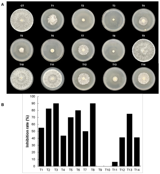 Biocontrol Activity of Bacillus altitudinis CH05 and Bacillus tropicus ...