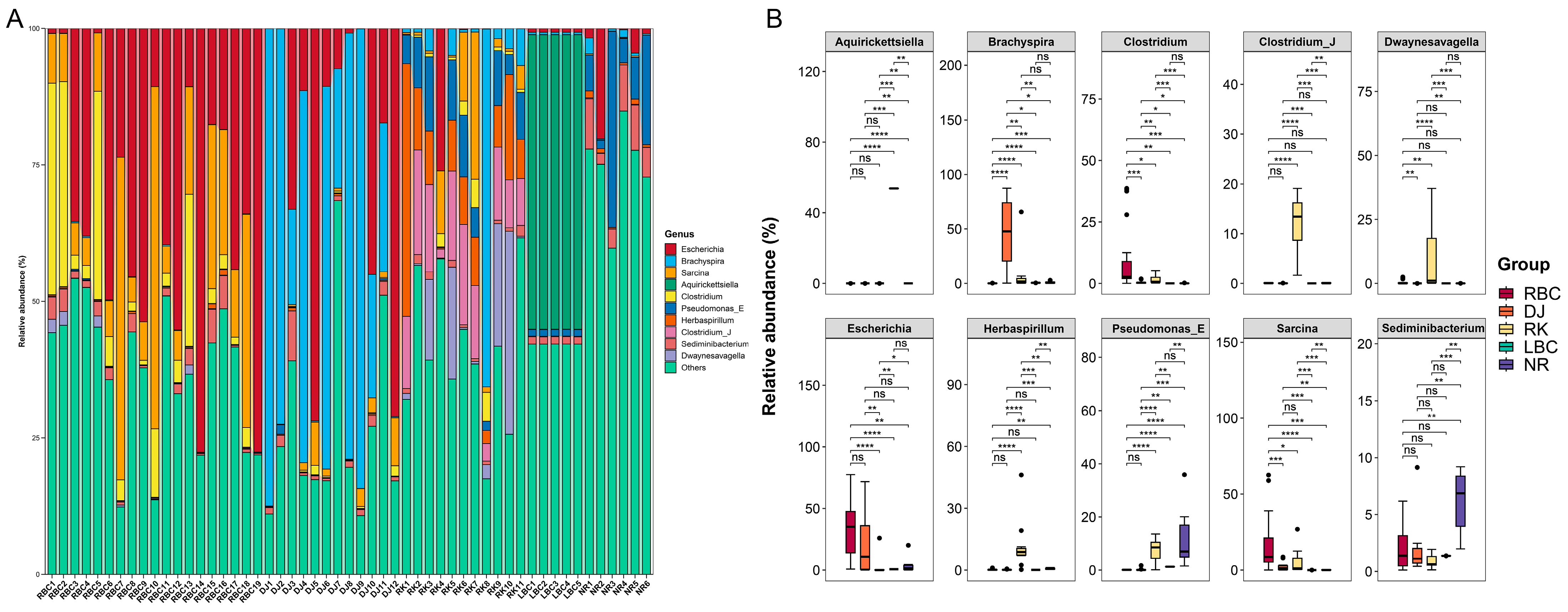 The Catalog of Microbial Genes and Metagenome-Assembled Genomes from the Gut Microbiomes of Five ...