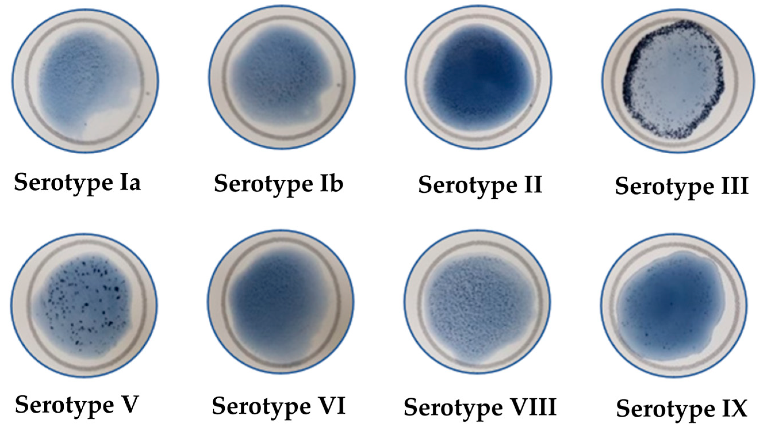 Performance Evaluation of NovaplexTM Multiplex Real-Time PCR Assay for ...