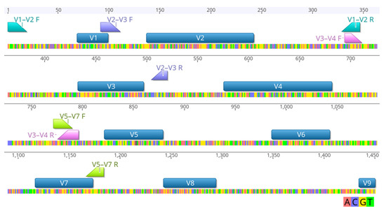 Effect of the 16S rRNA Gene Hypervariable Region on the Microbiome ...