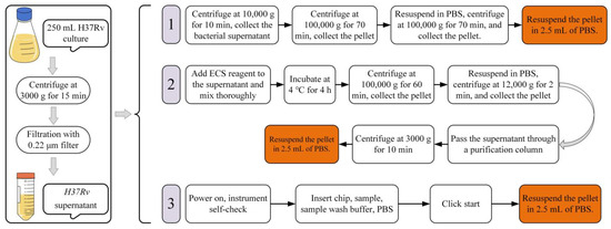 Improved Isolation Optimizes Downstream Application of Extracellular ...