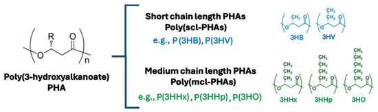 Recent Trends in the Production and Recovery of Bioplastics Using ...