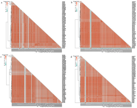 Genetic Diversity and Recombination Analysis of Canine Parvoviruses ...