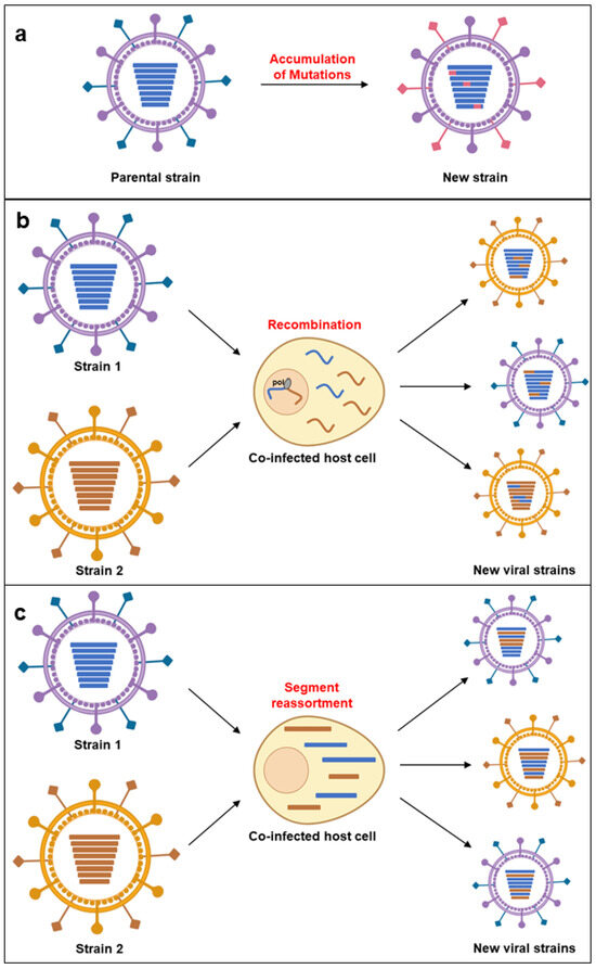 Spillover: Mechanisms, Genetic Barriers, and the Role of Reservoirs in ...