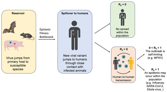 Spillover: Mechanisms, Genetic Barriers, and the Role of Reservoirs in ...