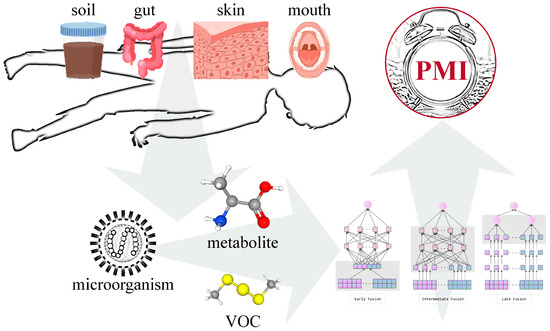 Multimodal Approaches Based on Microbial Data for Accurate Postmortem ...
