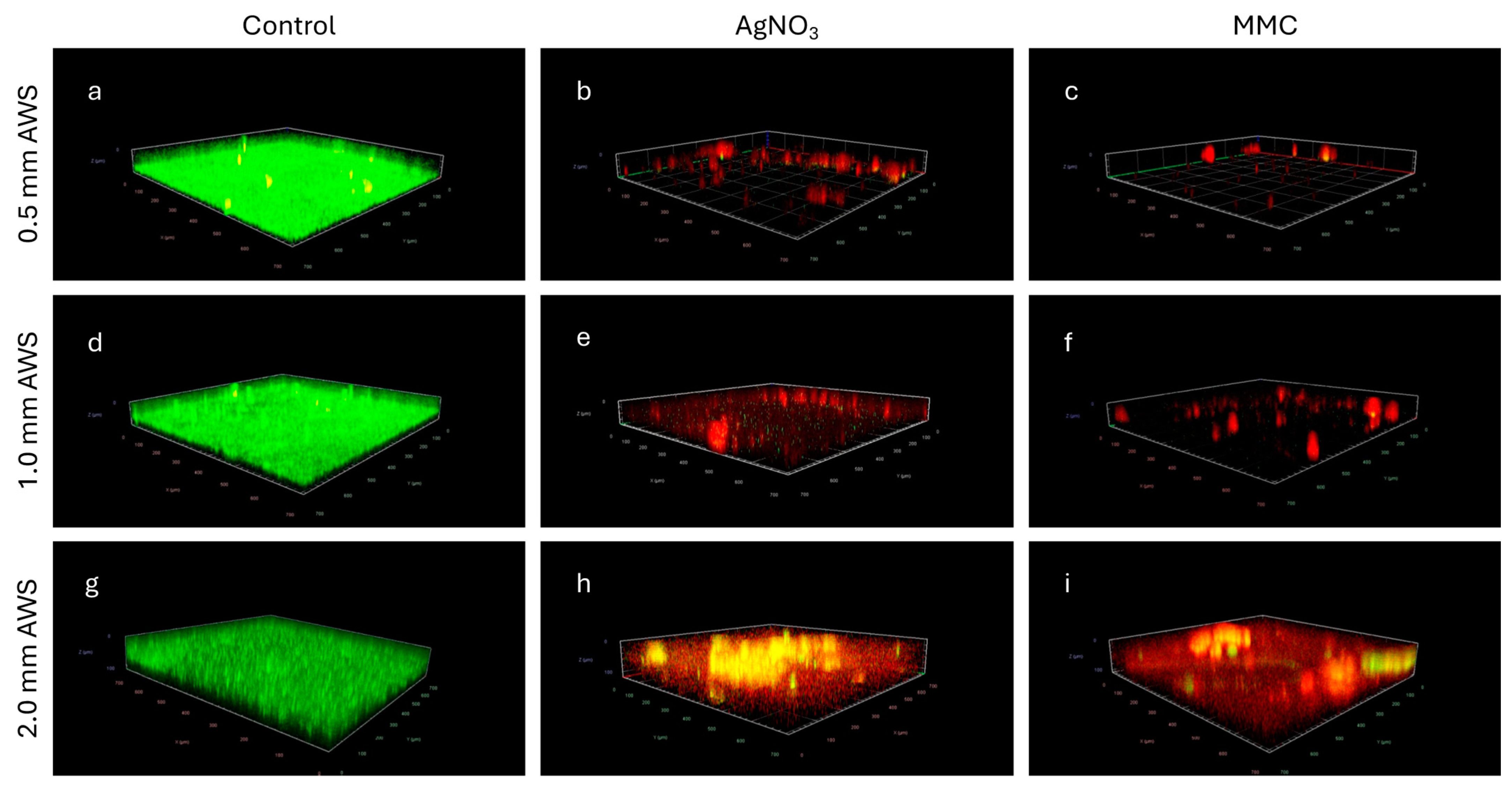 An In Vitro Artificial Wound Slough–Biofilm Model Developed for Evaluating a Novel Antibiofilm ...