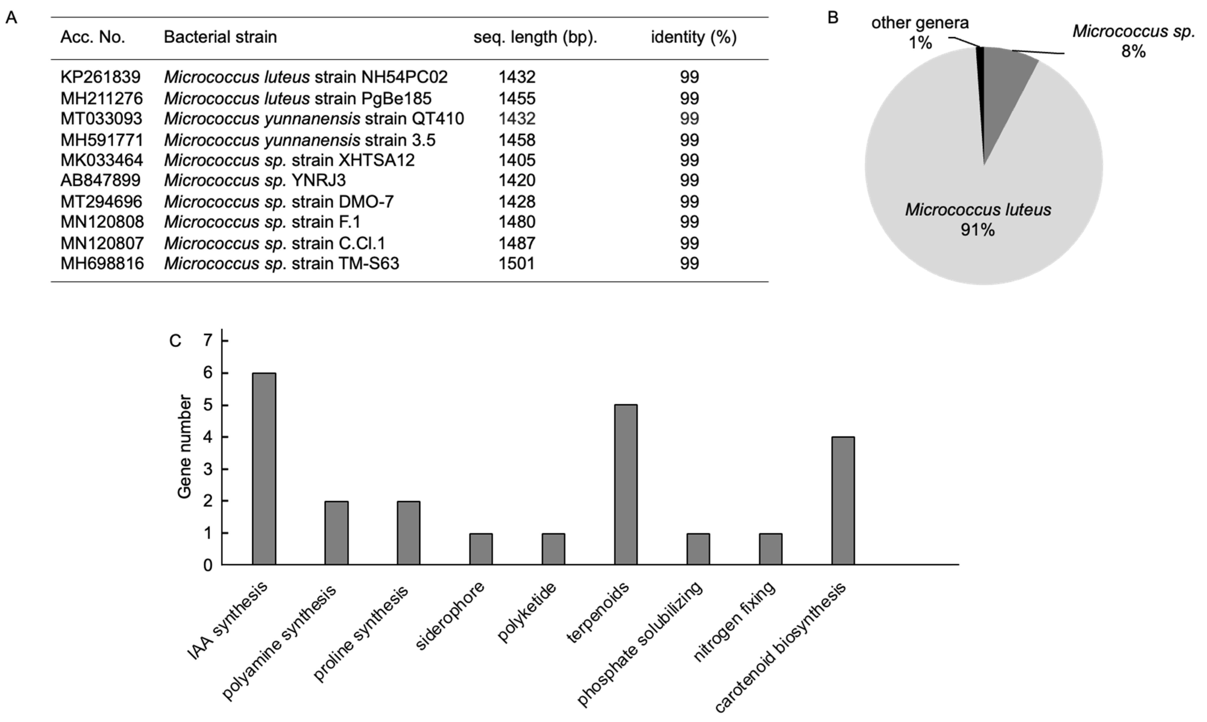 Decoding the Impact of a Bacterial Strain of Micrococcus luteus on ...